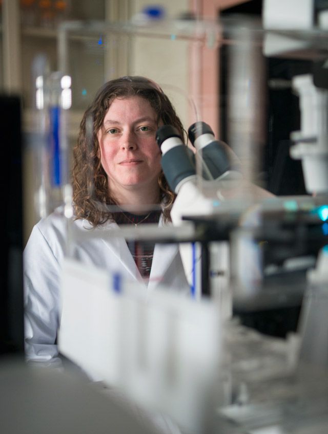 A scaffold to speed healing | P.C. Rossin College of Engineering ...